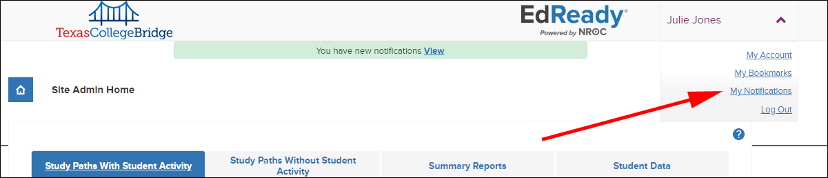 Viewing Submitted Essays – Texas College Bridge