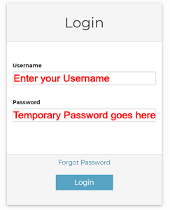 Resetting Your Password – Texas College Bridge